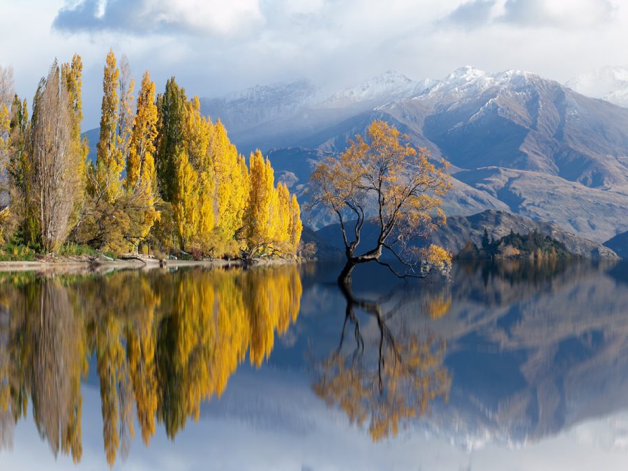 Autumn in New Zealand - MajorDomo